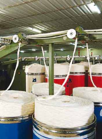 Trident’s yarn expansion plant in Punjab commissioned - The Textile ...