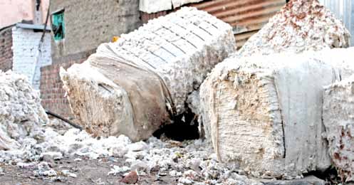 Star Rating of ginneries aids cotton buying by mills - The Textile Magazine